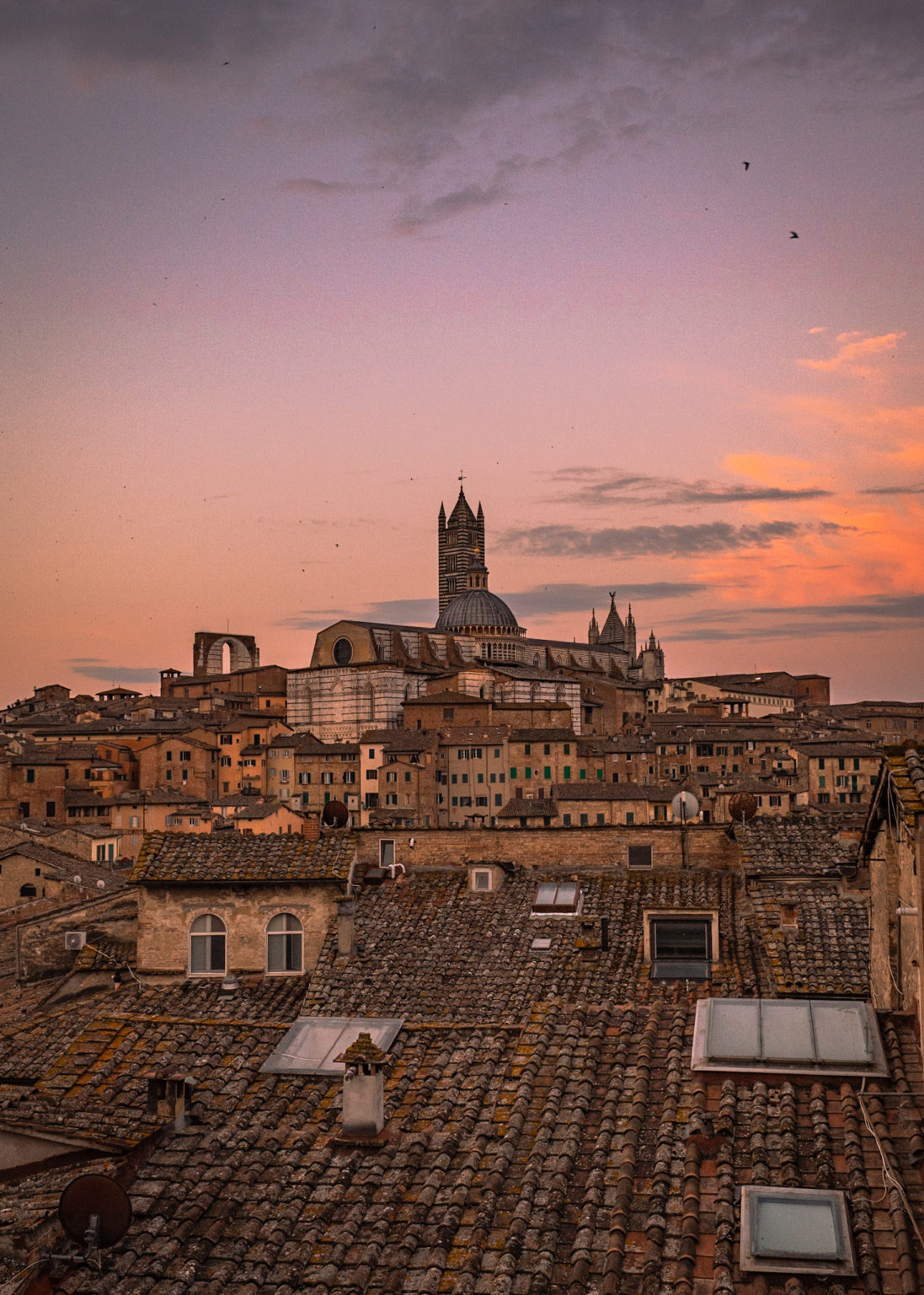 25 Photos That Will Make You Visit Siena in Italy - Lasma Plone