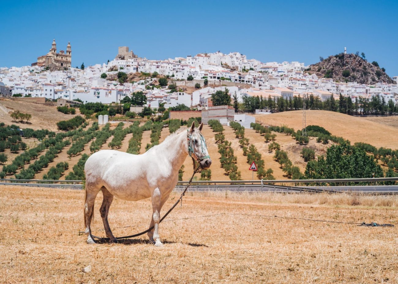 14 Days in Andalusia: The Ultimate Andalusia Road Trip Itinerary