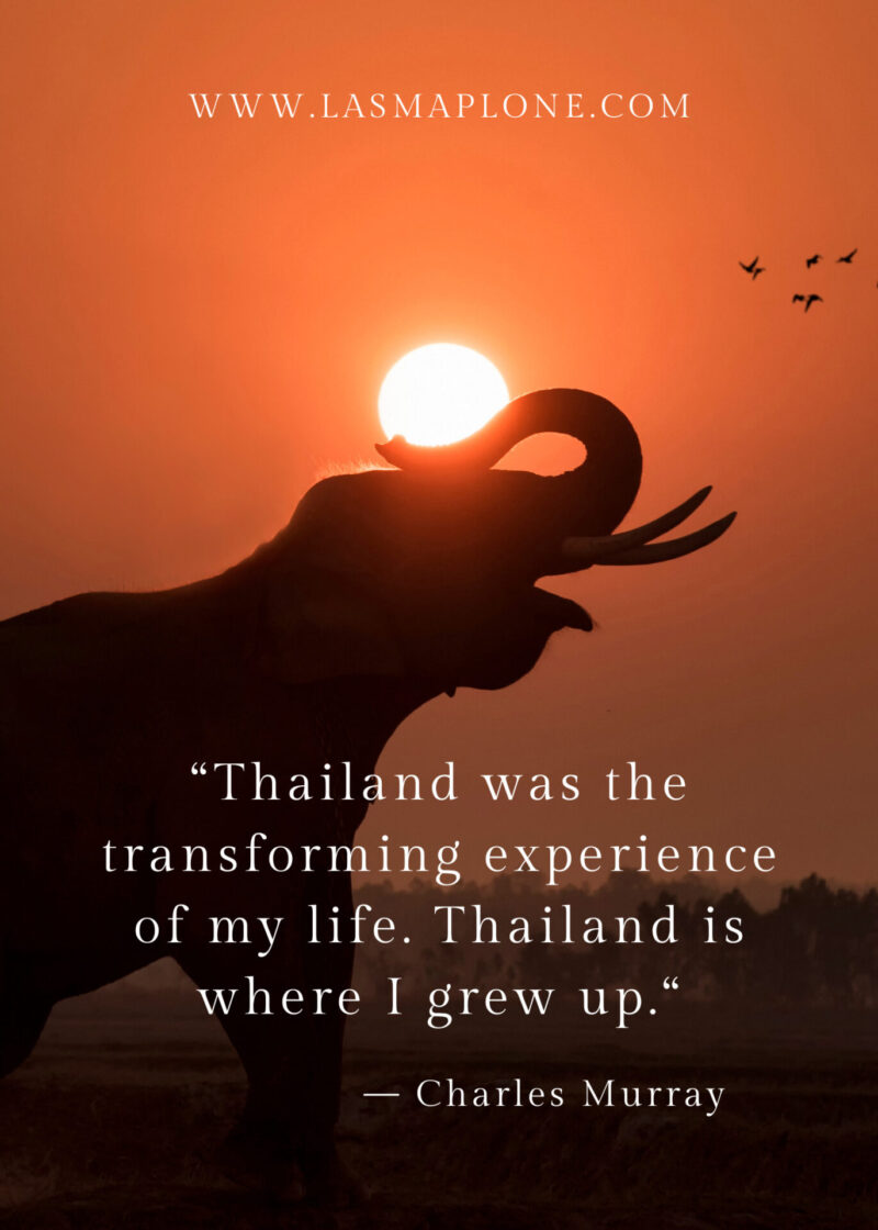 200+ Best Thailand Quotes and Thailand Captions For Instagram