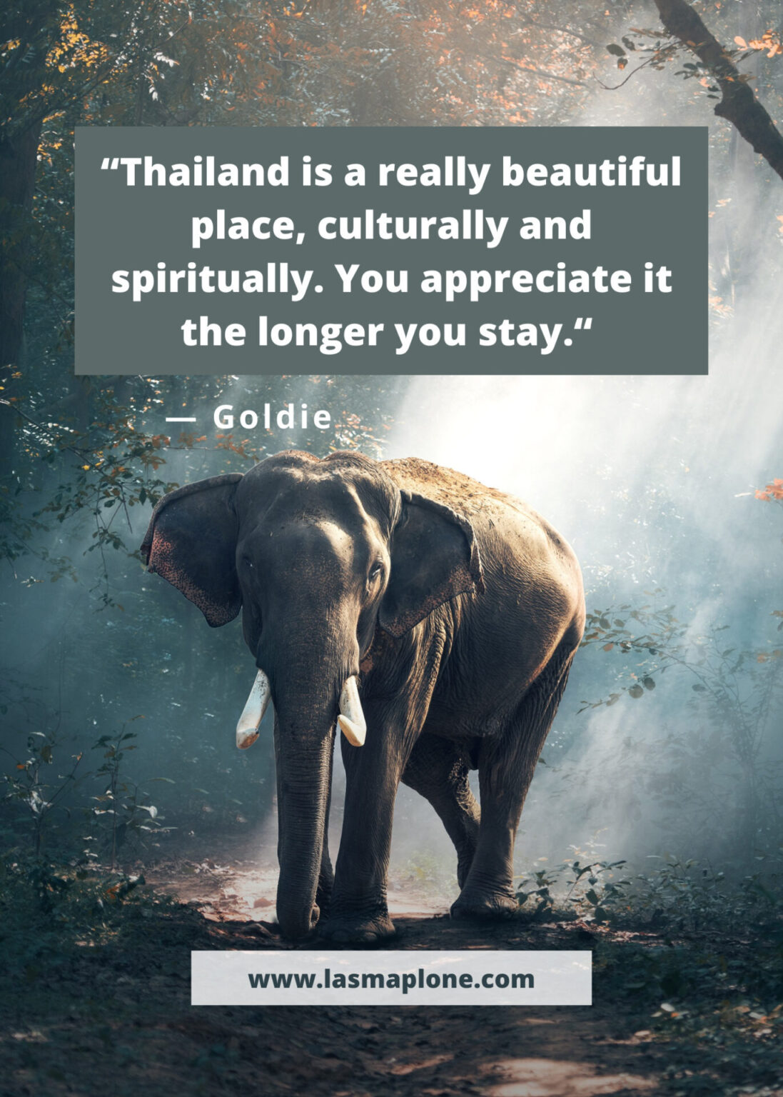 200+ Best Thailand Quotes and Thailand Captions For Instagram