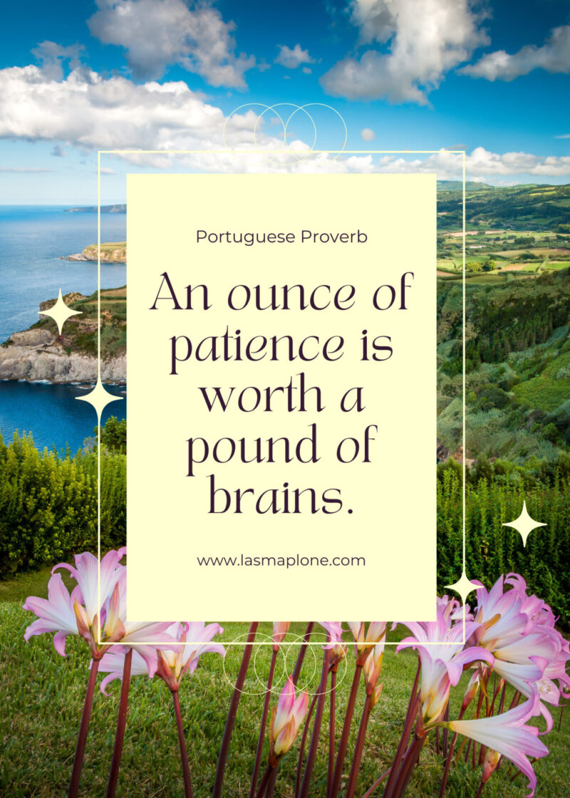 100+ Best Portugal Quotes and Portugal Instagram Captions