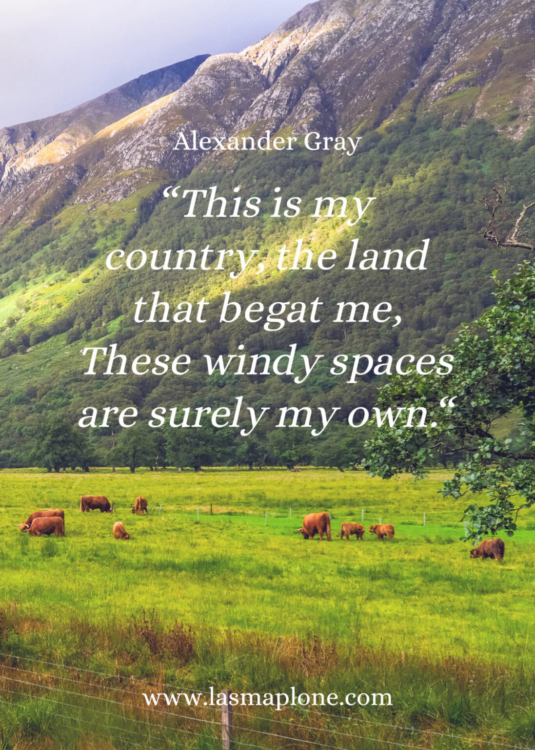 130+ Best Scotland Quotes and Scotland Instagram Captions