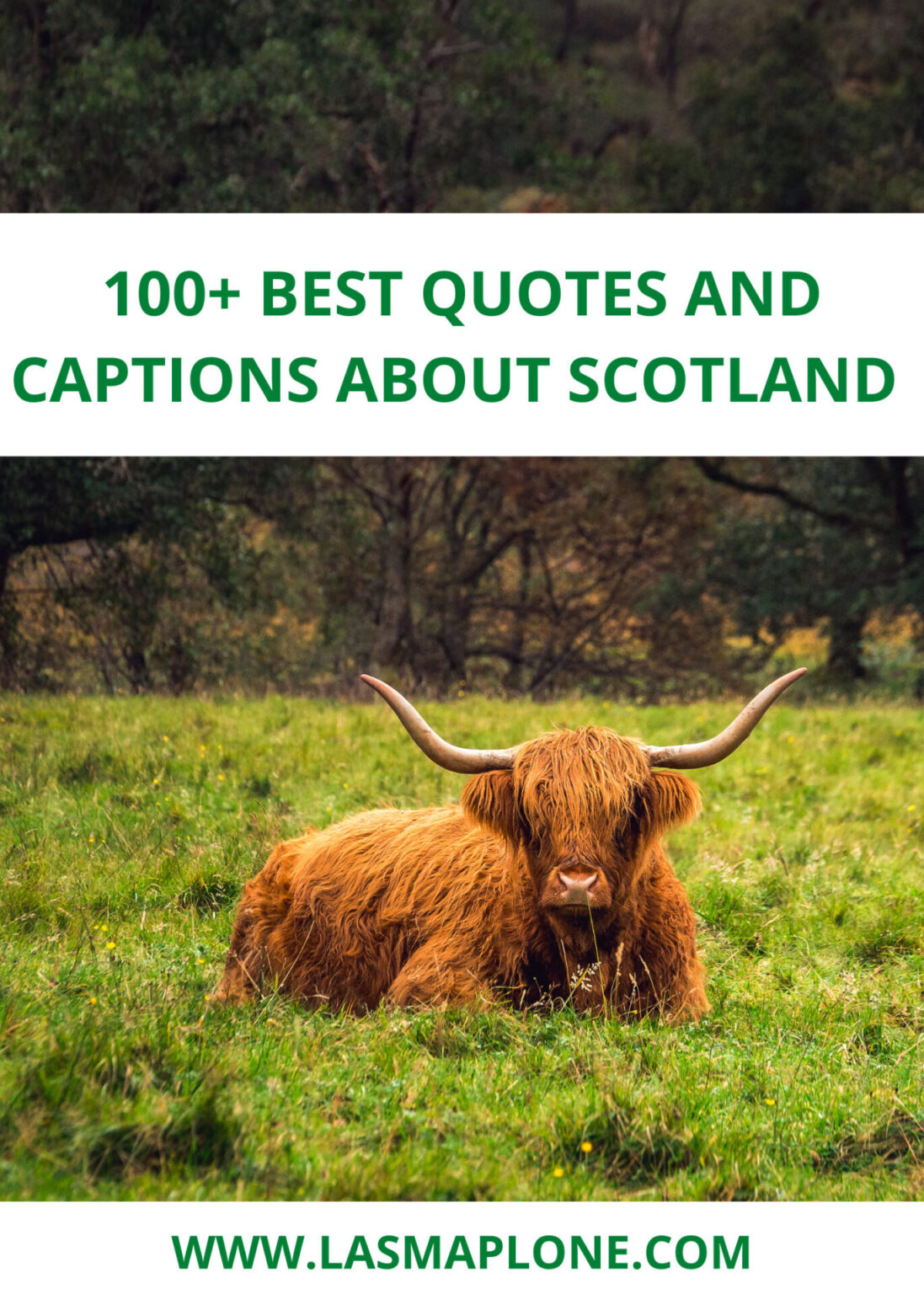 130+ Best Scotland Quotes and Scotland Instagram Captions