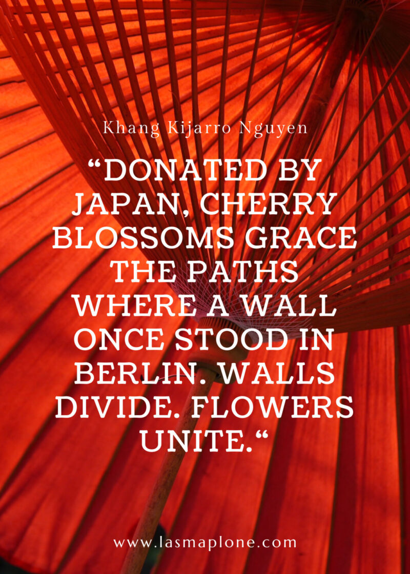 150+ Best Japan Quotes and Japan Instagram Captions