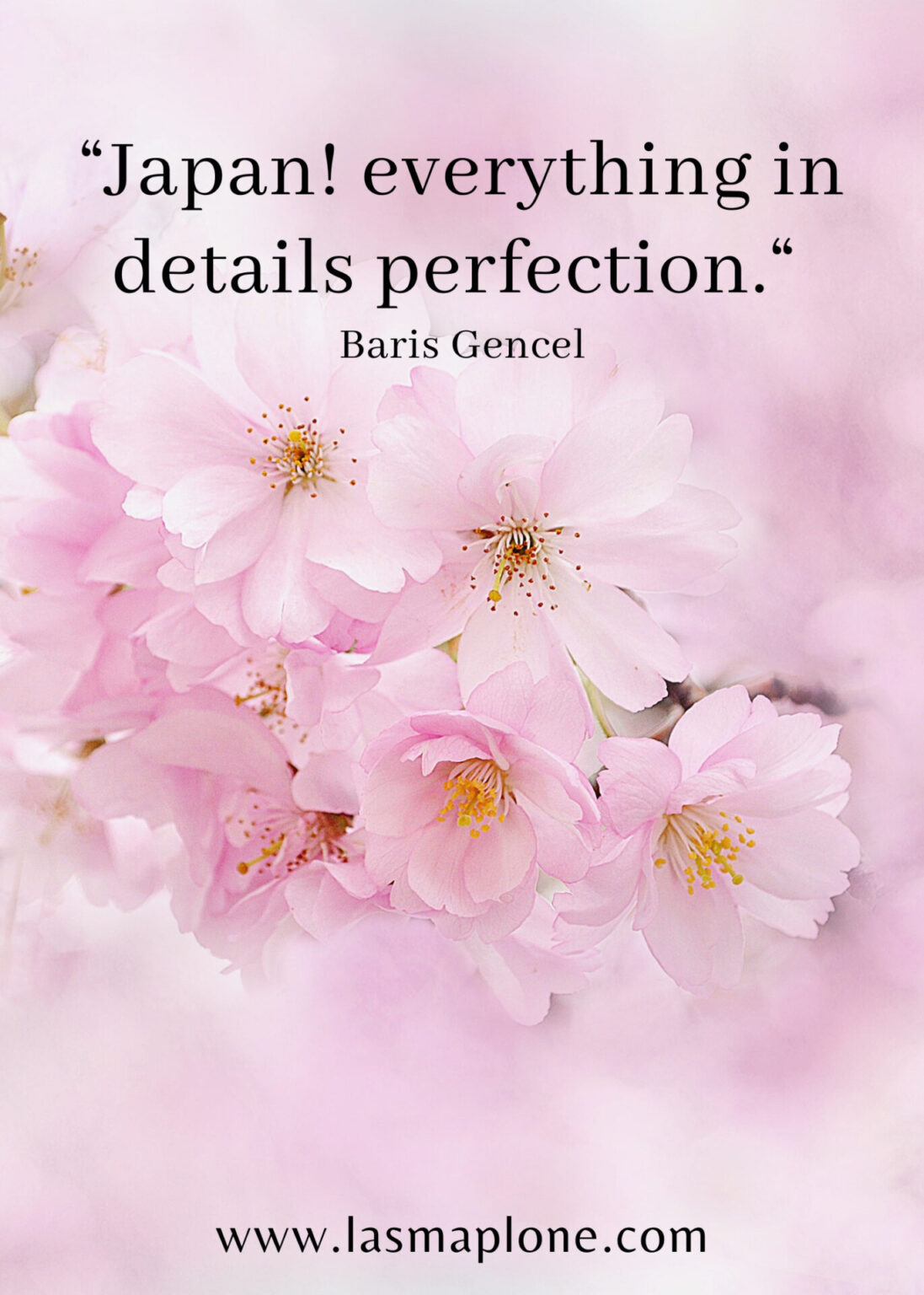 150+ Best Japan Quotes and Japan Instagram Captions