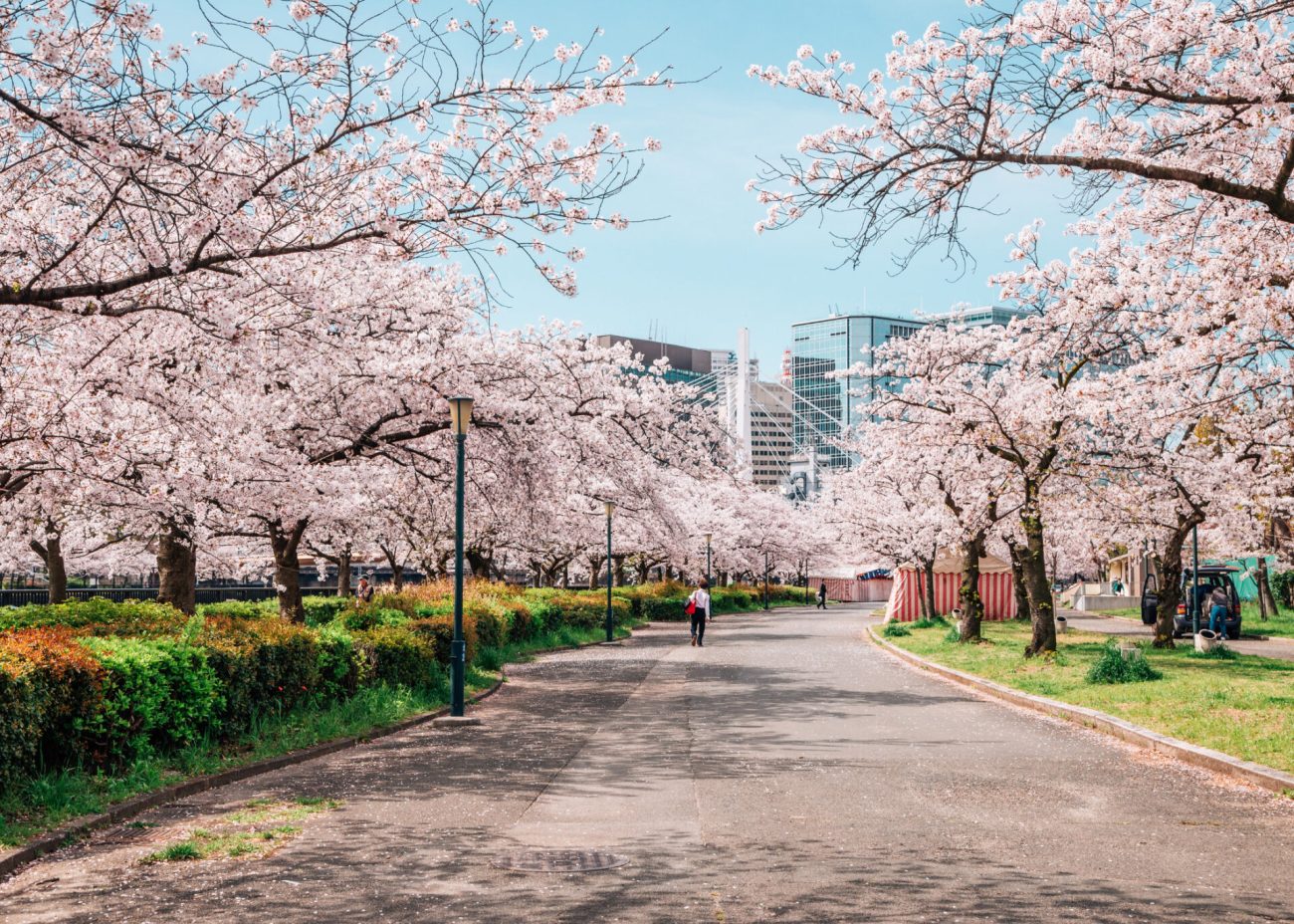 15 Best Photo Spots in Osaka That You Can’t Miss