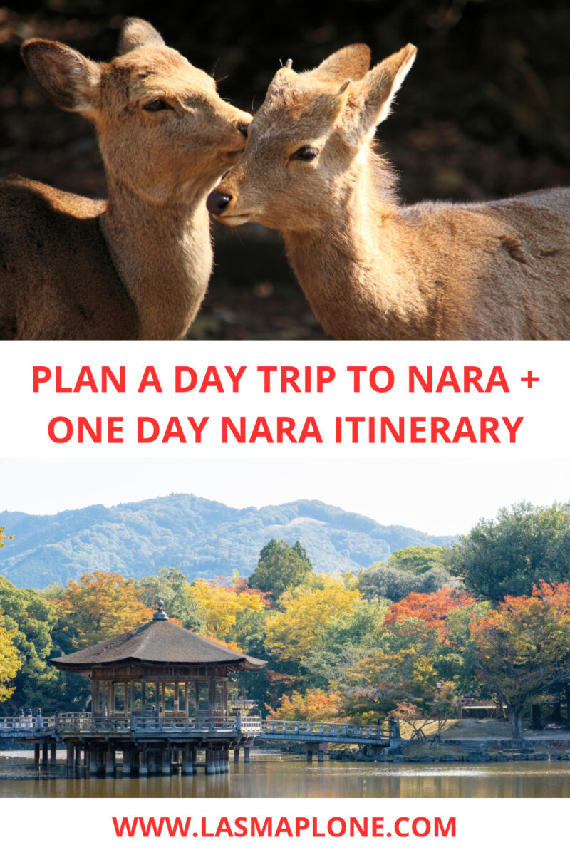 How to Plan a Day Trip to Nara? + One Day Nara Itinerary