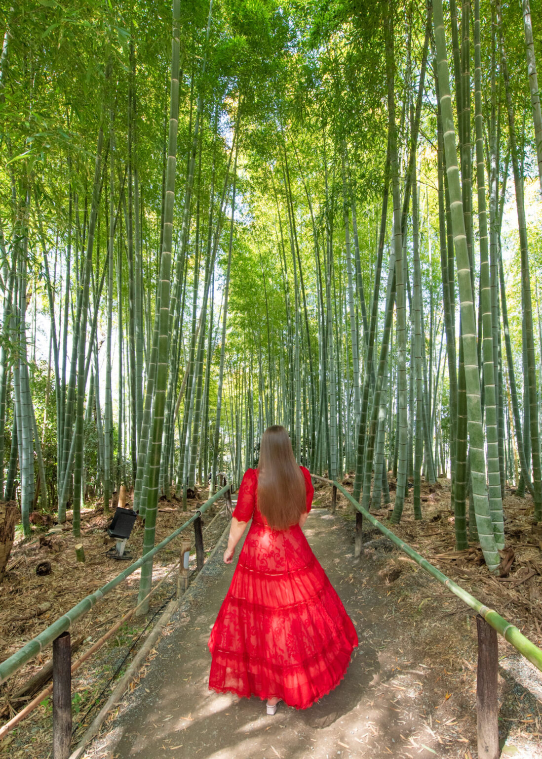 25 Best Photo Spots in Kyoto That You Must Visit