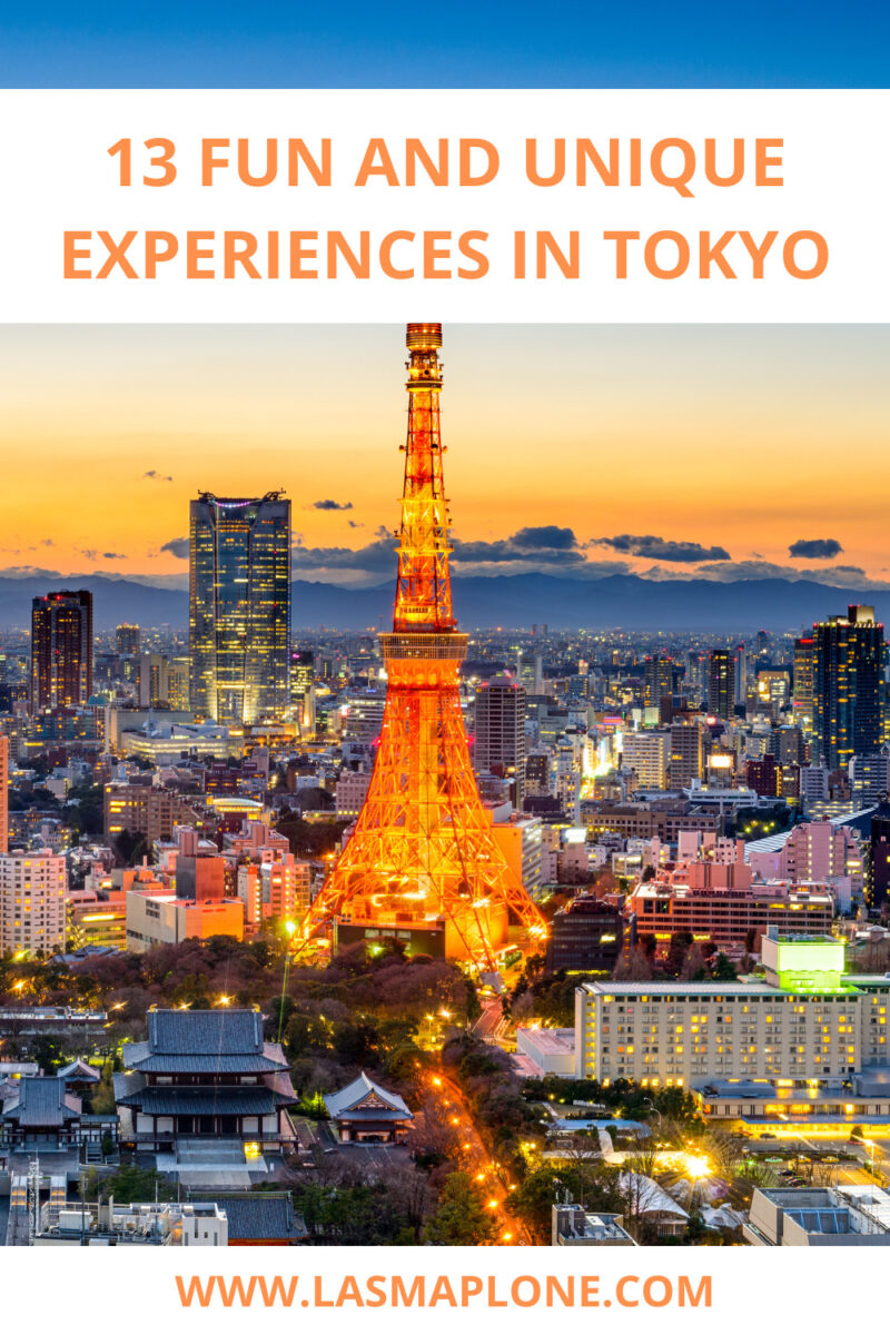 13 Best Tokyo Tours: Fun and Unique Experiences in Tokyo