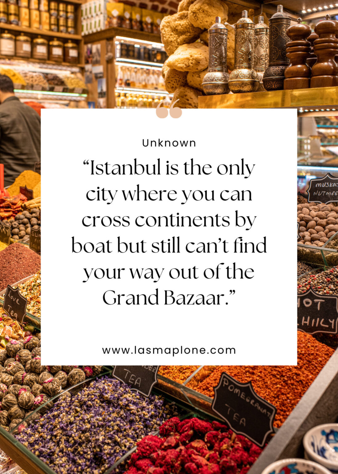 100+ Best Turkey Quotes and Turkey Instagram Captions