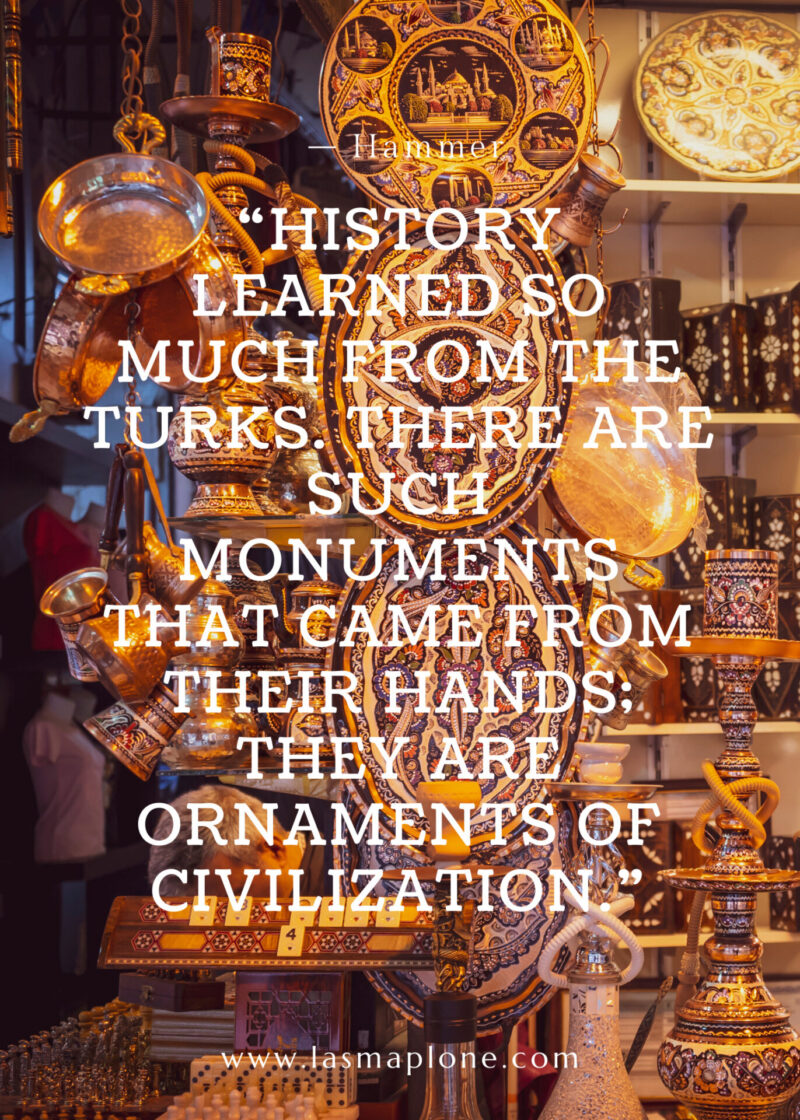 100+ Best Turkey Quotes and Turkey Instagram Captions