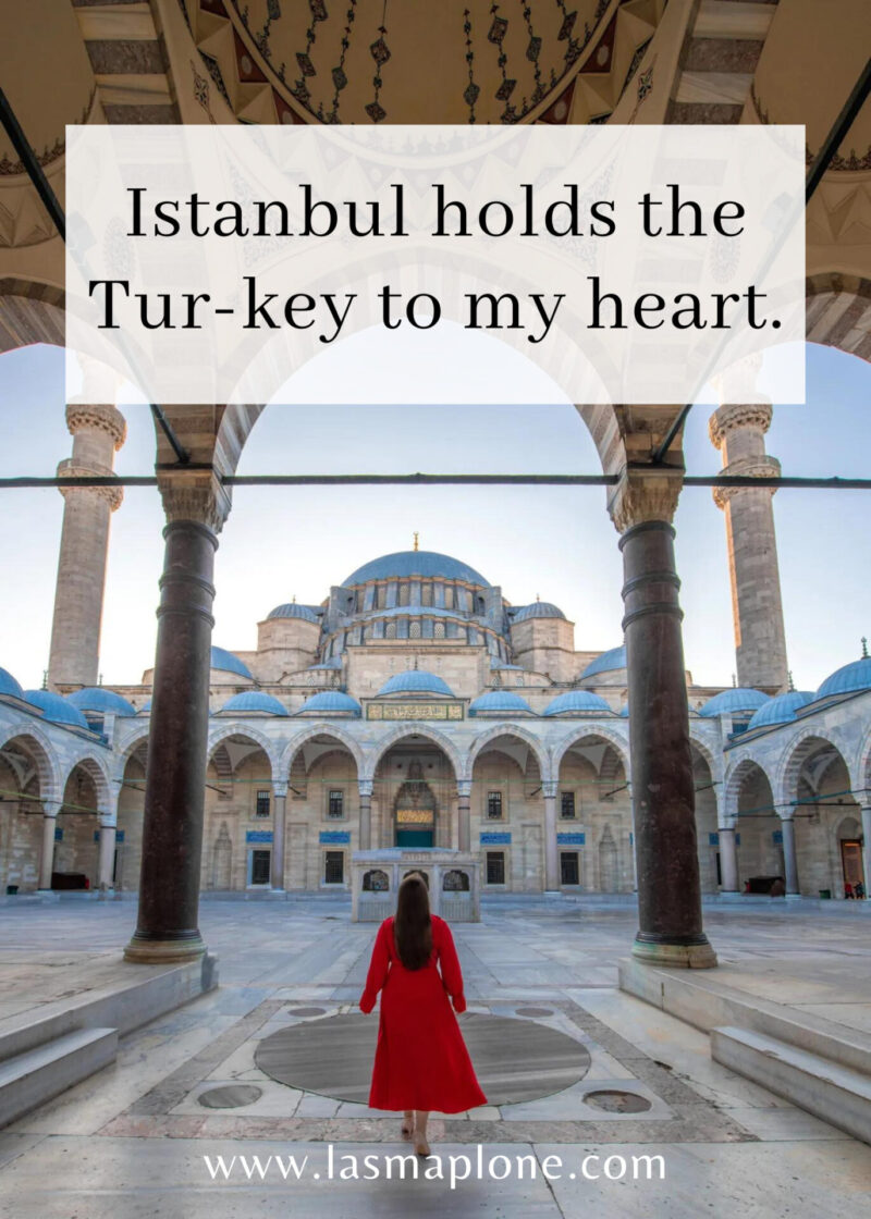 100+ Best Turkey Quotes and Turkey Instagram Captions
