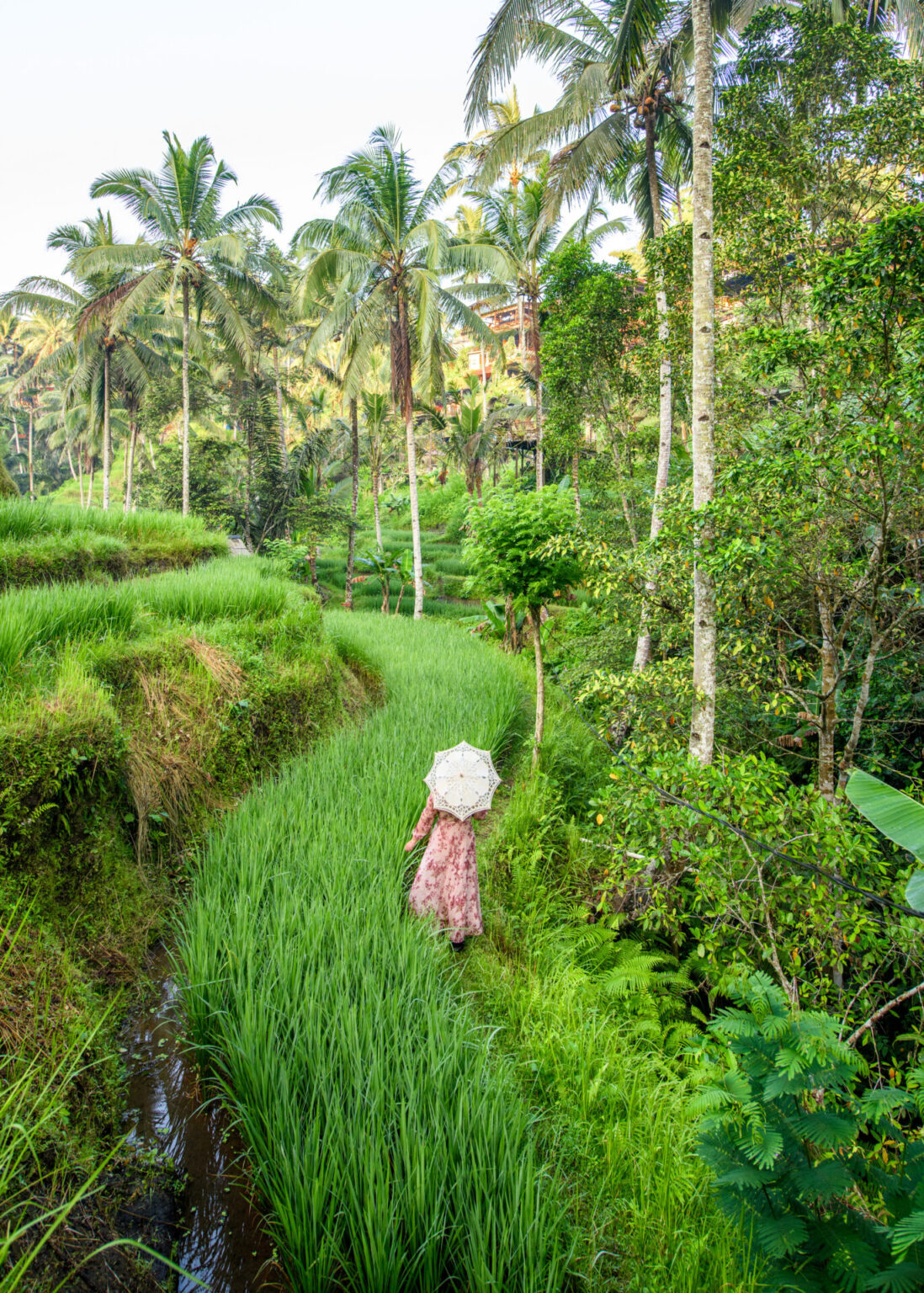 15 Best Photo Spots in Ubud, Bali + Photography Tips