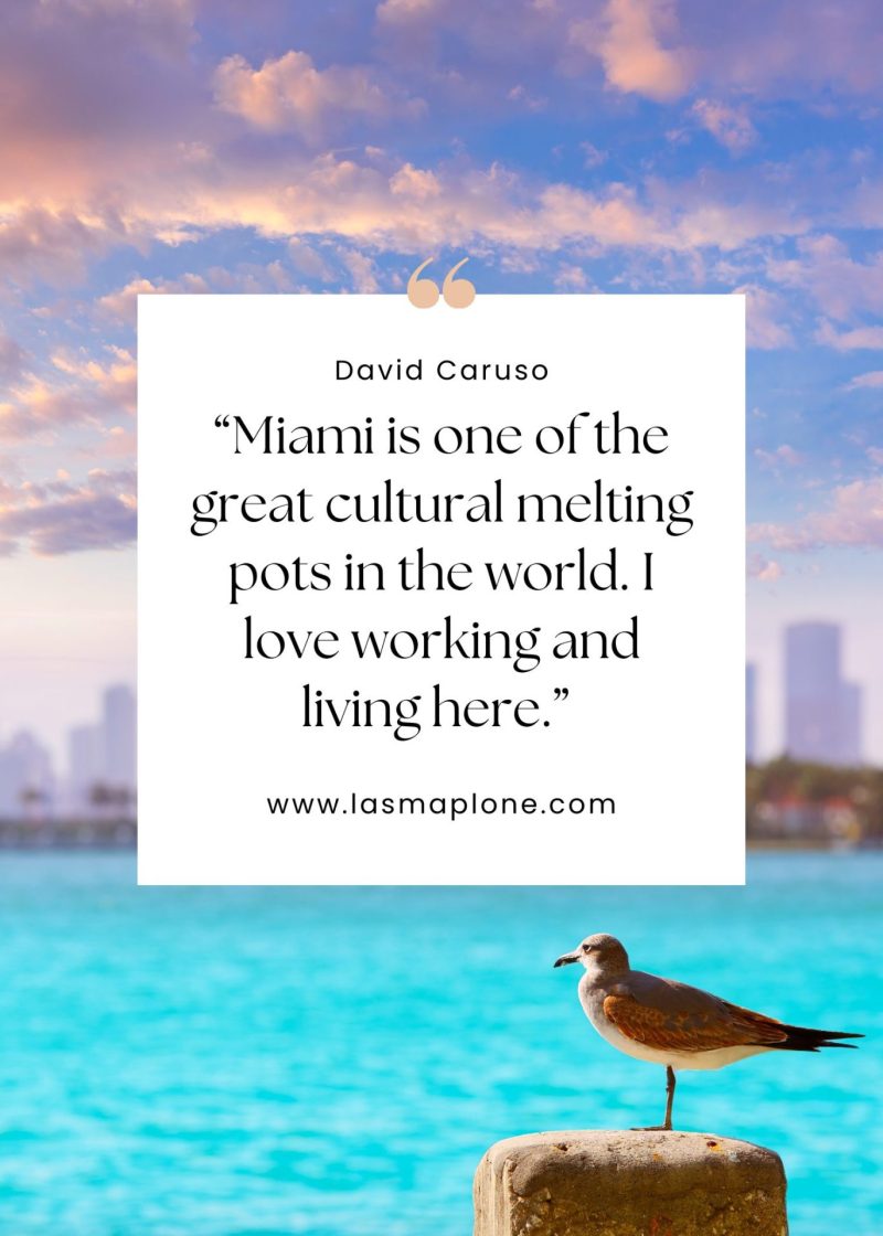 120+ Best Miami Quotes and Miami Instagram Captions