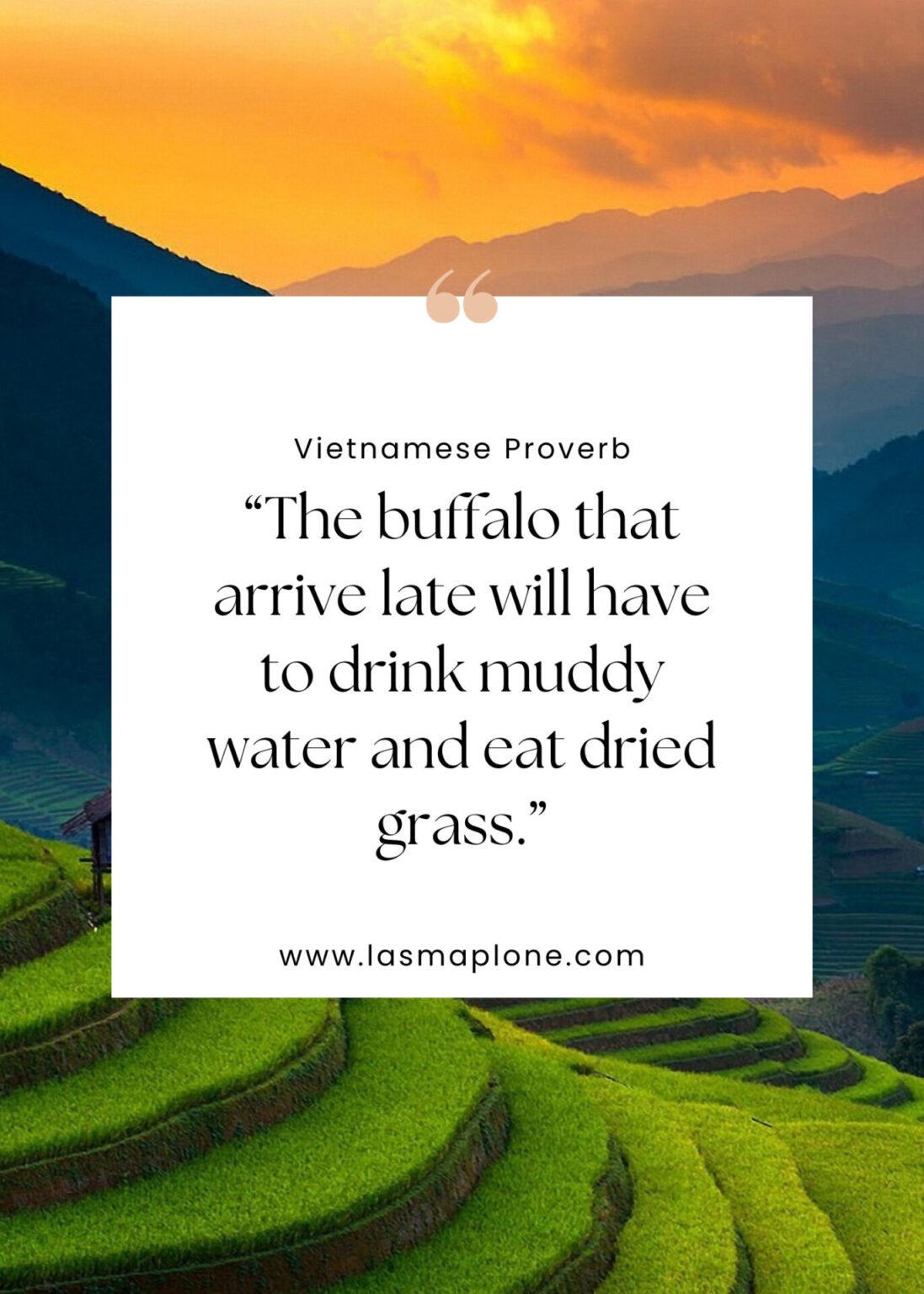 120+ Best Vietnam Quotes and Vietnam Instagram Captions