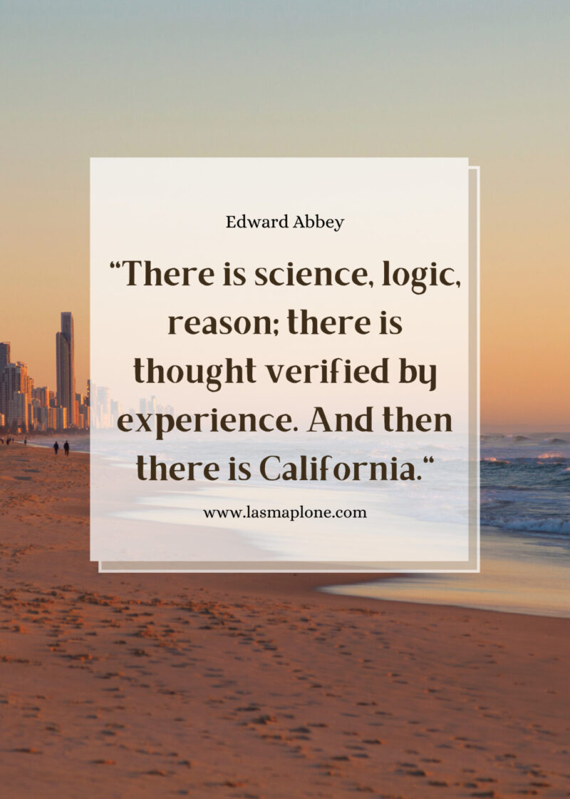 130+ Best California Quotes and California Instagram Captions