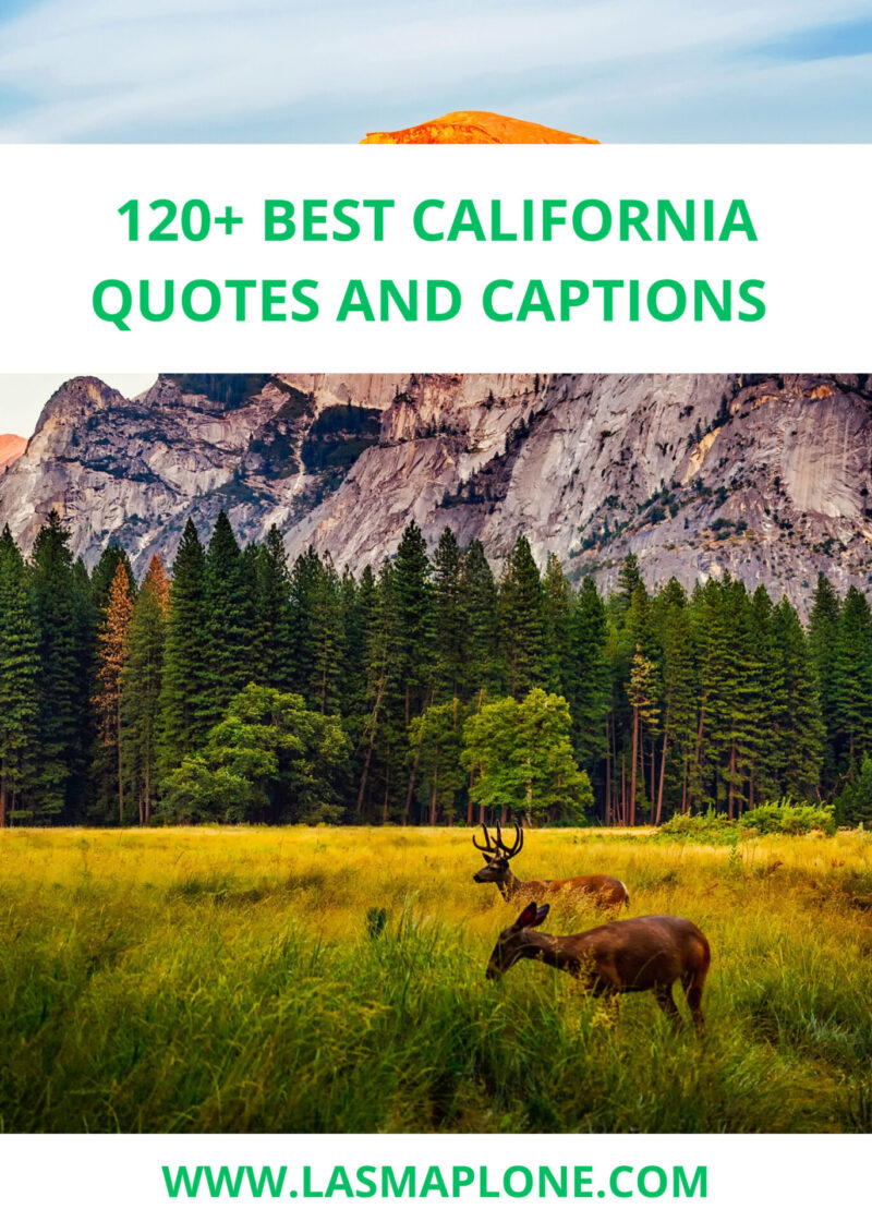130+ Best California Quotes and California Instagram Captions
