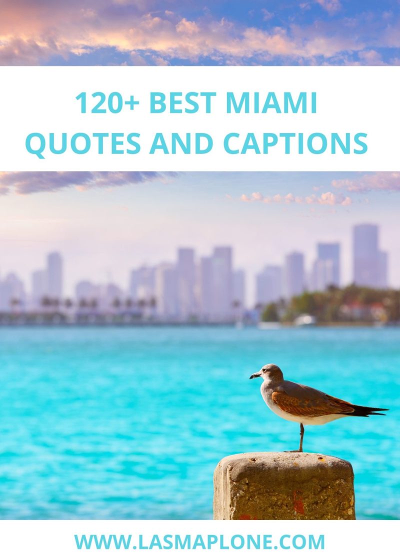 120+ Best Miami Quotes and Miami Instagram Captions