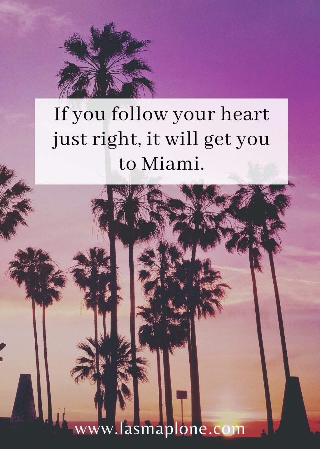 120+ Best Miami Quotes and Miami Instagram Captions