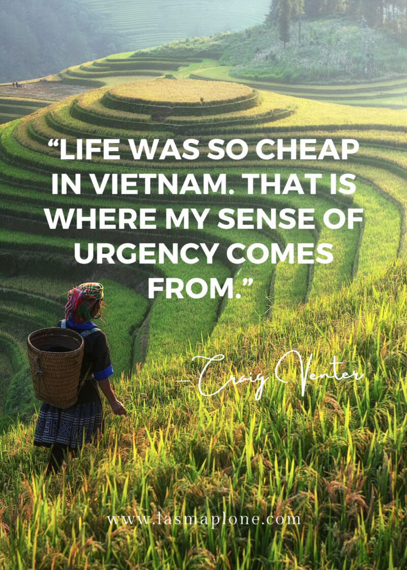 120+ Best Vietnam Quotes and Vietnam Instagram Captions