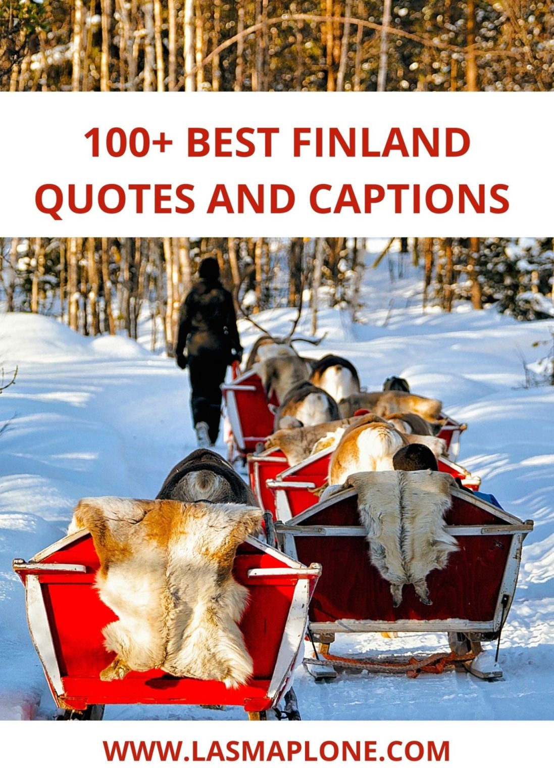 100+ Best Finland Quotes and Finland Instagram Captions