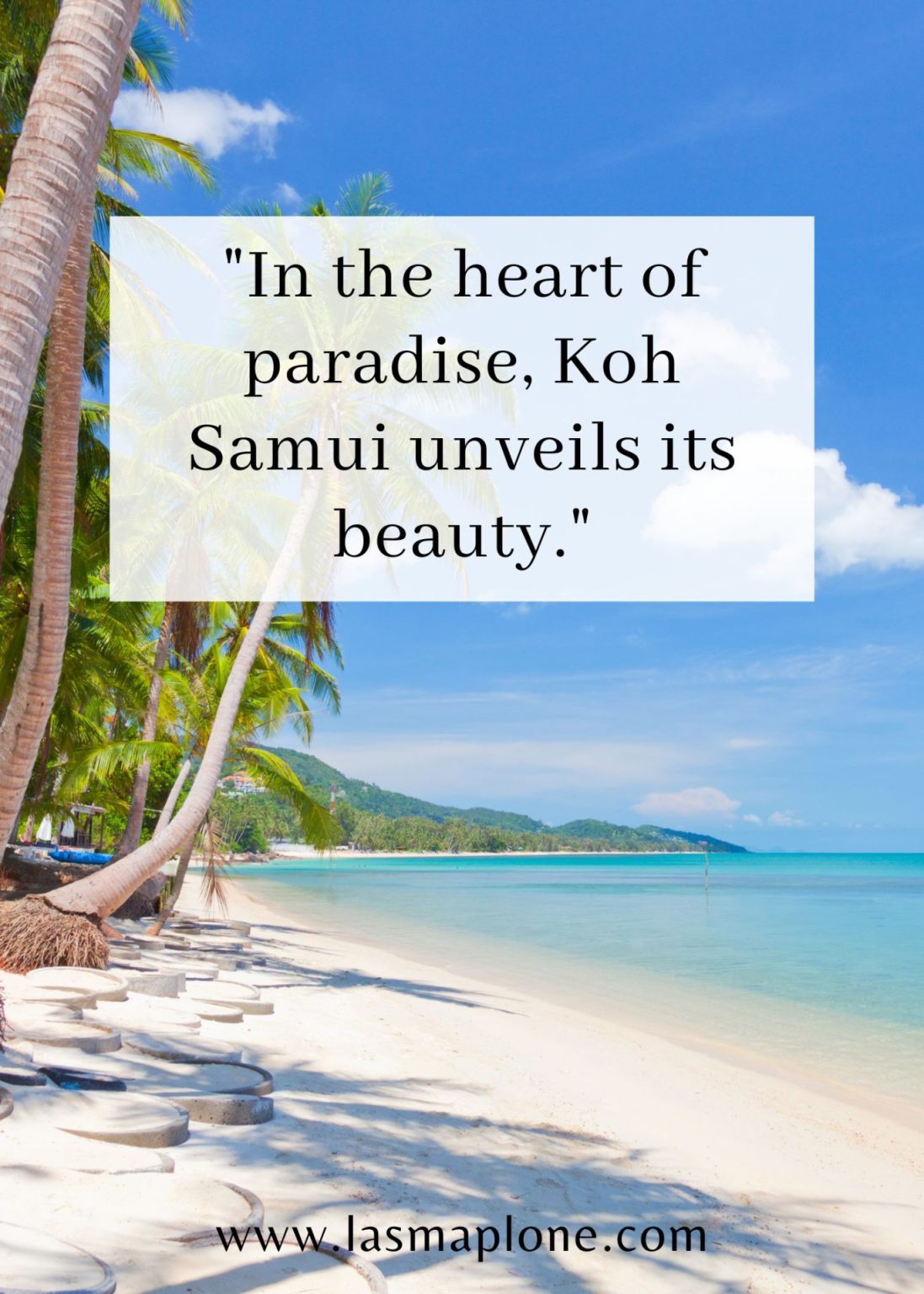200+ Best Thailand Quotes and Thailand Captions For Instagram
