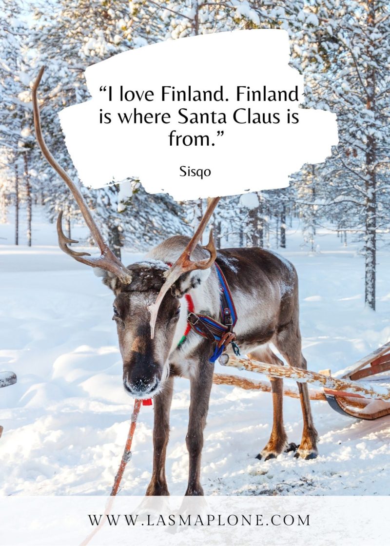 100+ Best Finland Quotes and Finland Instagram Captions