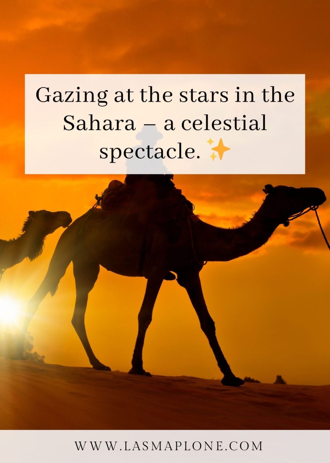 140+ Best Morocco Quotes and Morocco Instagram Captions