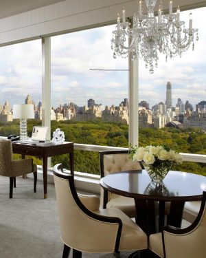 10 Top Hotels with Central Park View in New York - Lasma Plone